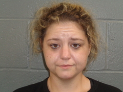 Inmate Roster - Released Inmates Booking Date Descending - Izard County ...